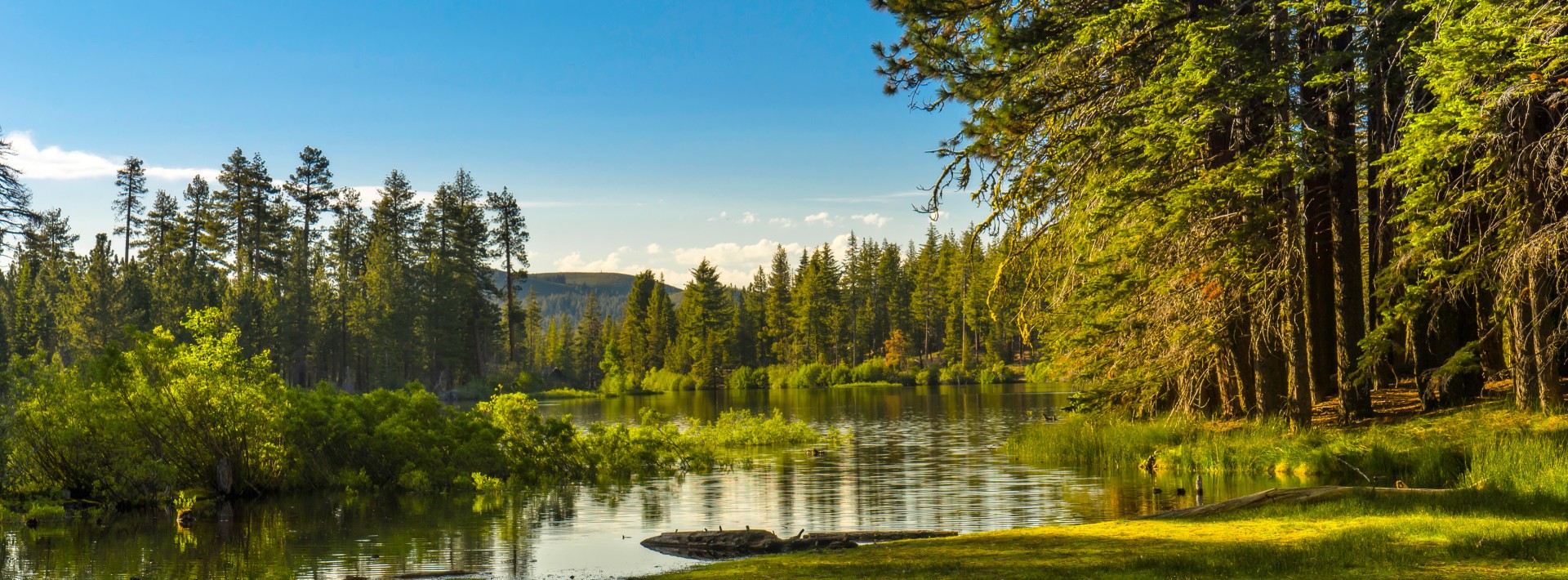 California Payroll Conference - Photo Gallery